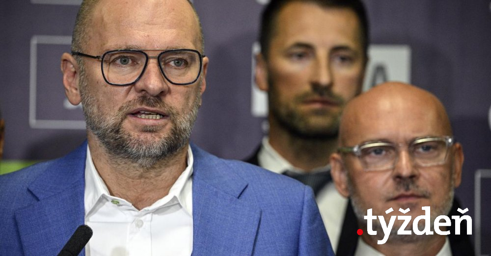 Gröhling: Bol by som rád, keby Sulík ostal v SaS ako ekonomický garant ...