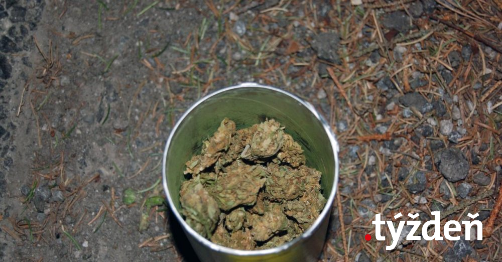 Nemecko plánuje schváliť legalizáciu konopy na rekreačné účely | Svet ...